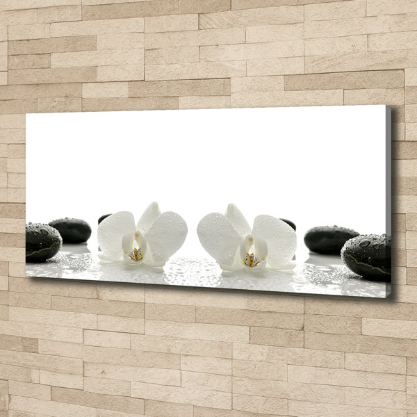 Brayden Studio Orchidee - Kunstdrucke auf Leinwand - Wrapped Canvas | Wayfair.de